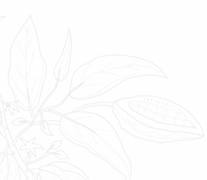 CiocolaterieOnline Leonidas - Ciocolata Belgiana - Bomboane